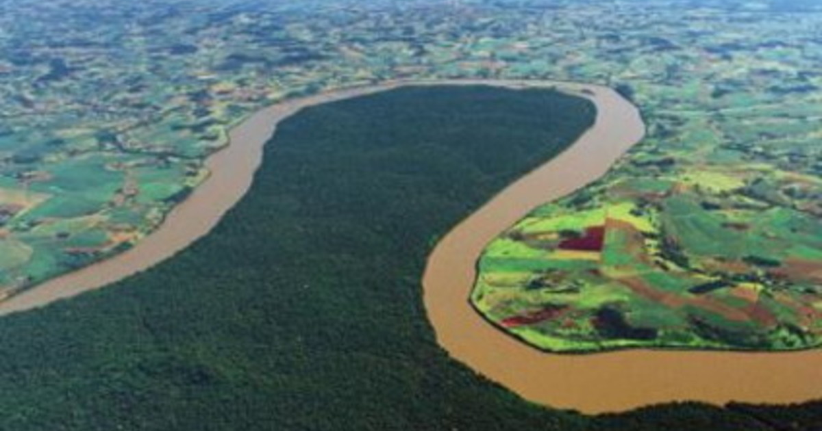 Il giorno dell'Amazzonia, 10 cose da sapere – Il Tempo