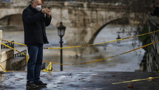 Hyperion, la sequoia vecchia 1260 anni e un record: è l'albero più alto ...