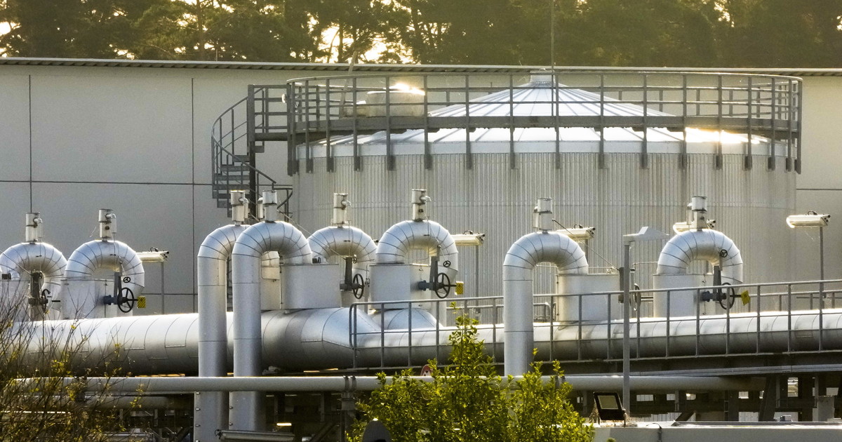 Il gas africano salverà l'Italia: non serve quello russo per superare l ...