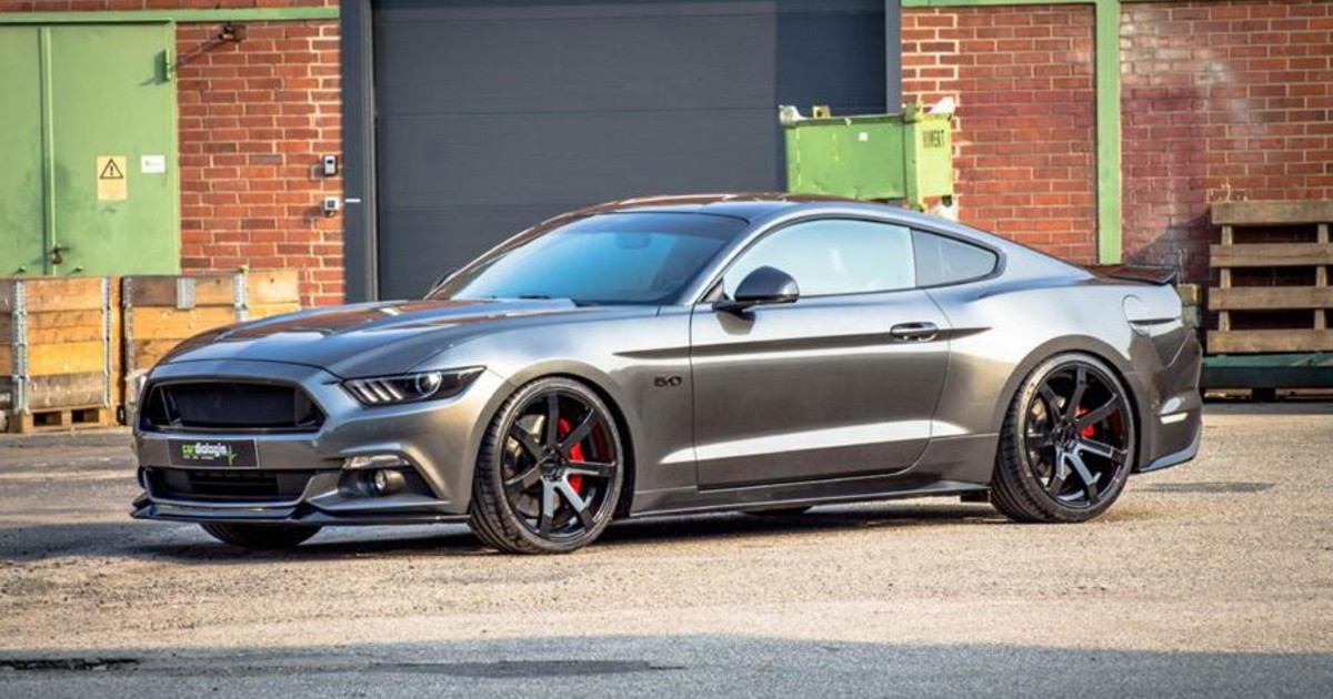 Mustang, cavalli di razza – Il Tempo