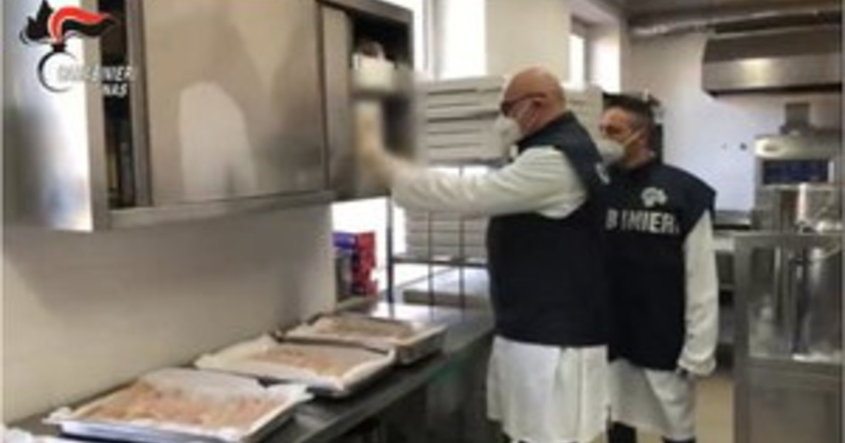 Sanità: Nas in mense ospedali, escrementi di topi e blatte, chiuse 7 ...