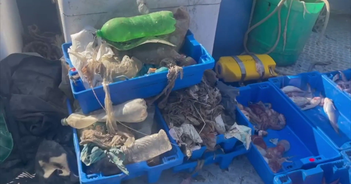Più plastica che pesci, Marevivo lancia l'allarme – Il Tempo
