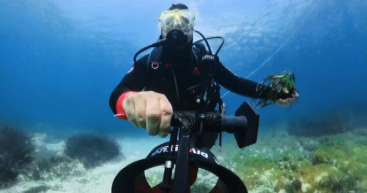 Tre "Summer School" per insegnare ai giovani la tutela del mare – Il Tempo