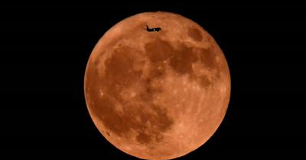 Con la prima Superluna 2023 più rischi per l'insonnia – Il Tempo