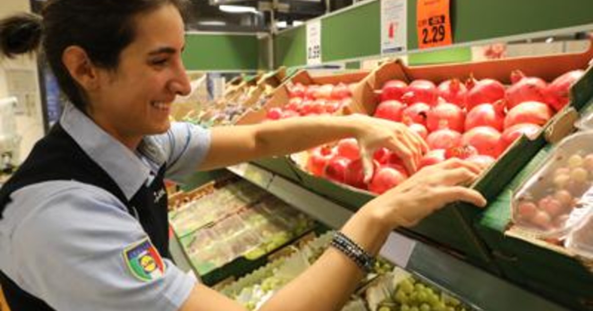 Riparte 'Lidl 2 your career', percorso biennale per assistant store ...