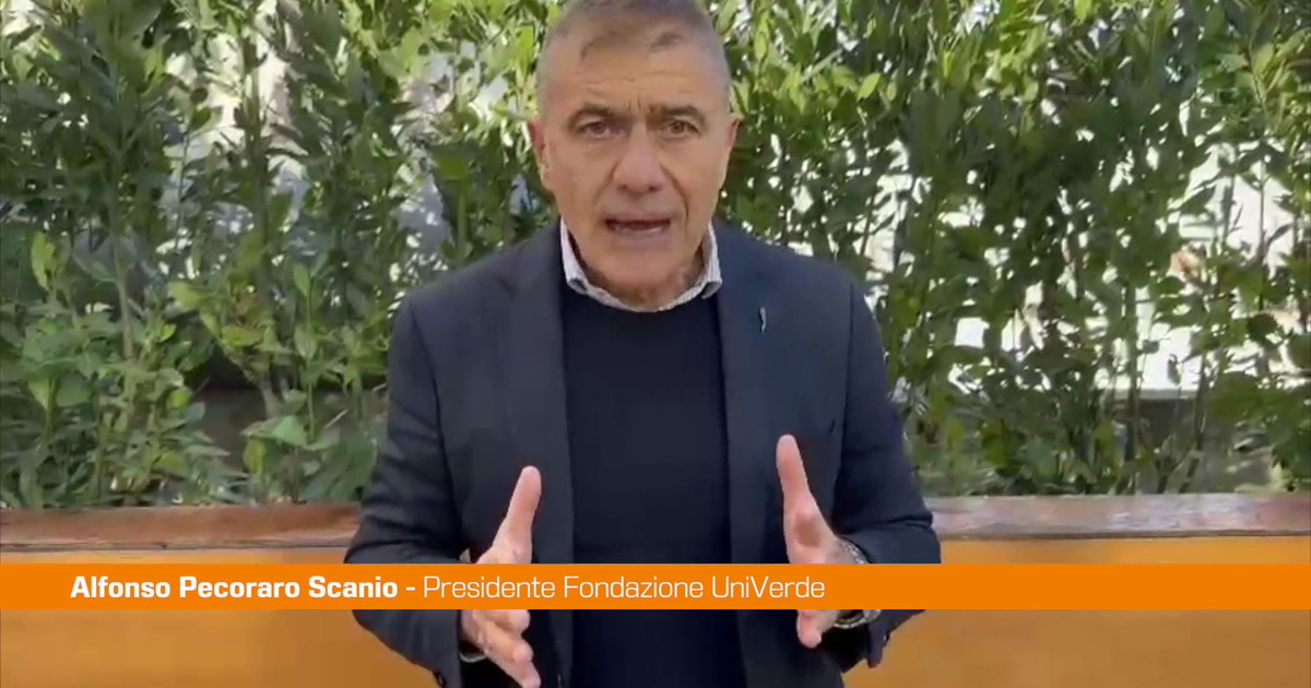Pecoraro Scanio"Rischio guerra globale.G7 a guida Italia non sia flop ...