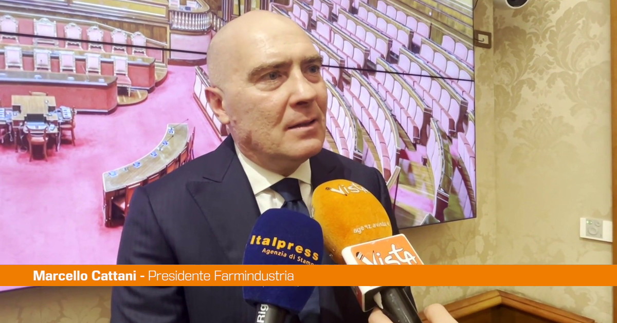 Cattani "Tanta strada da fare per raggiungere l'equità di genere" – Il ...