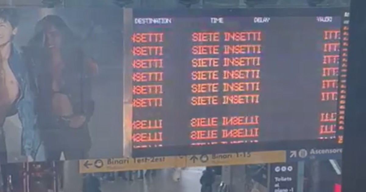 "Siete insetti", hackerati i tabelloni della stazione Termini. Ma è ...