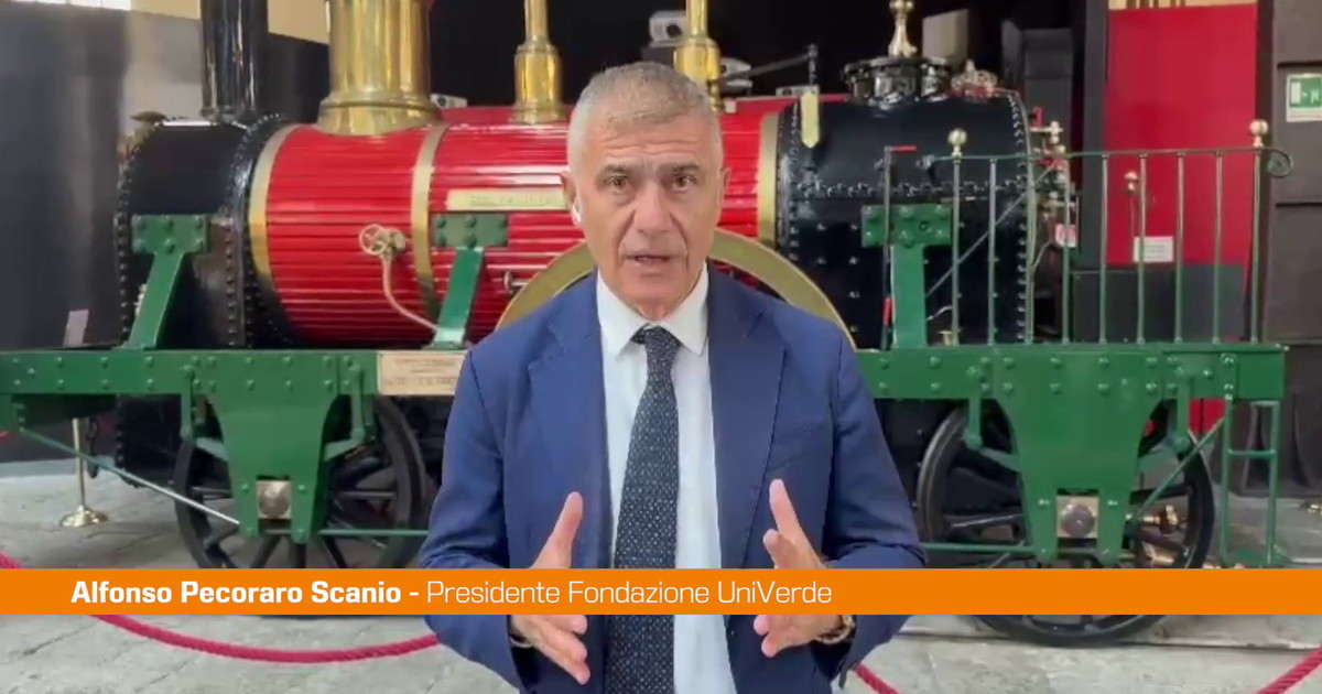 Pecoraro Scanio ”Al turismo servono ferrovie, no ponte sullo Stretto ...