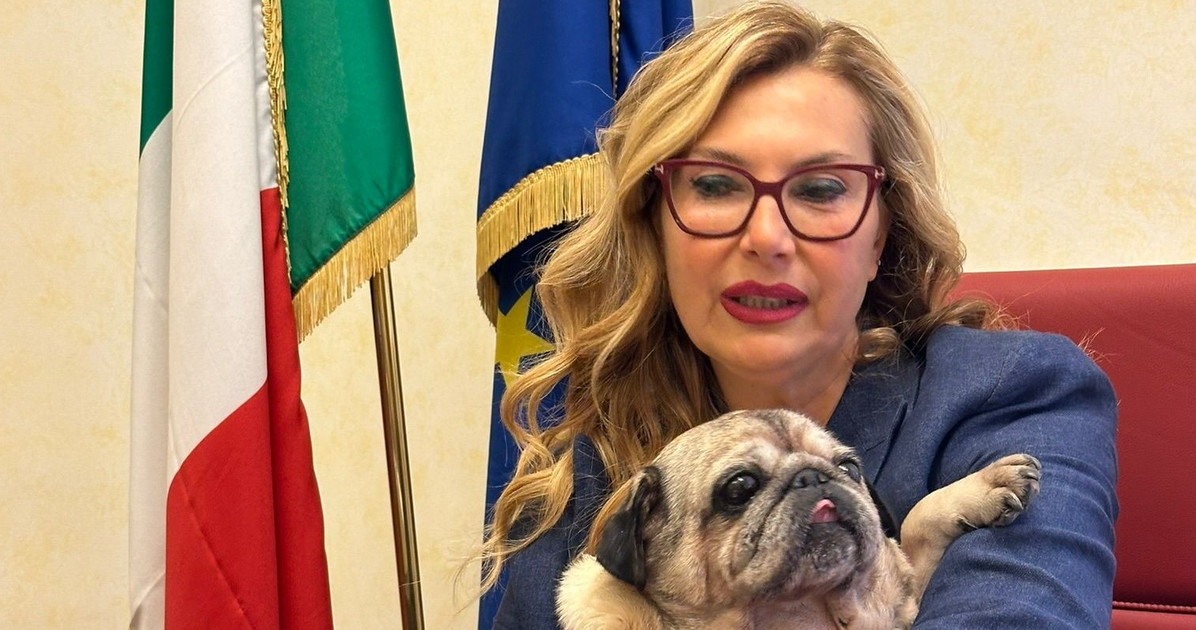 Michaela Biancofiore Entra Con Puggy Negli Uffici Dei Senatori Enormi Michaela Biancofiore Entra Con Puggy Negli Uffici Dei Senatori Enormi