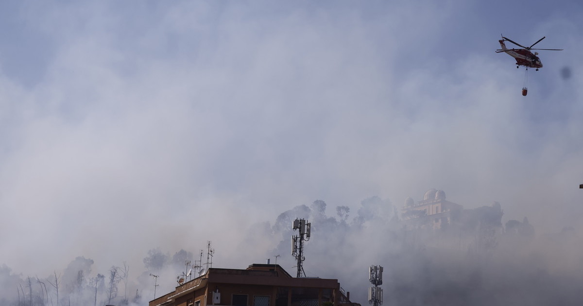 Incendio Roma, che cosa resta della riserva di Monte Mario: il ...