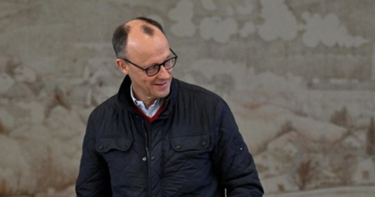 Elezioni Germania 2025, gli exit poll: prima la Cdu. AfD al 20 per ...