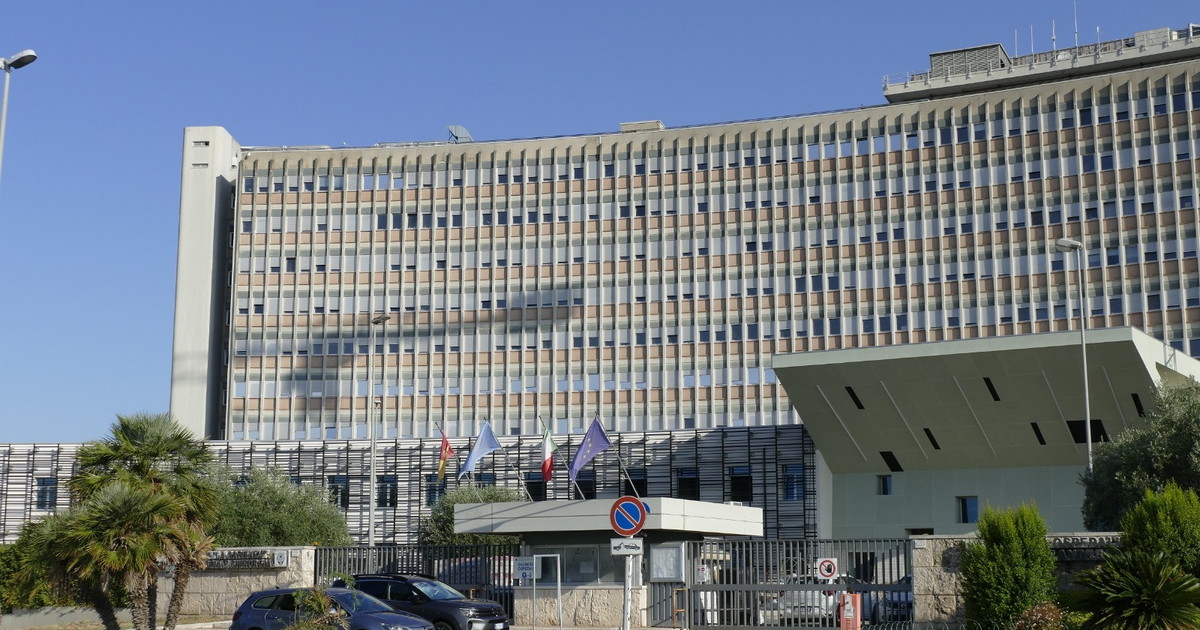 Stop al dolore da artrosi: al Sant'Andrea la tecnica mini-invasiva che ...