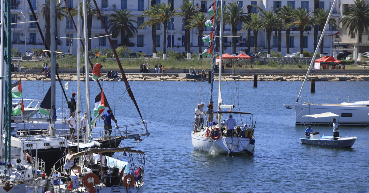 Flotilla, arriva l'esposto per i legami con Hamas. La mossa dell ...