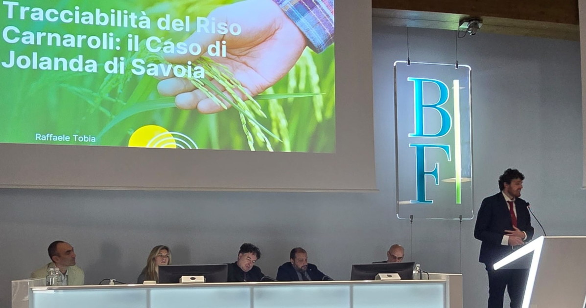 Unibo e BF Educational: conferimento del diploma di master ...